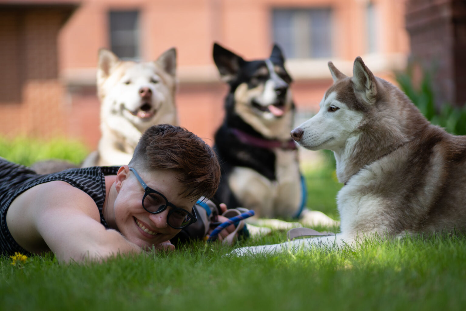 Renegade Dog Services | Dog Daycare and Boarding in Chicago, IL
